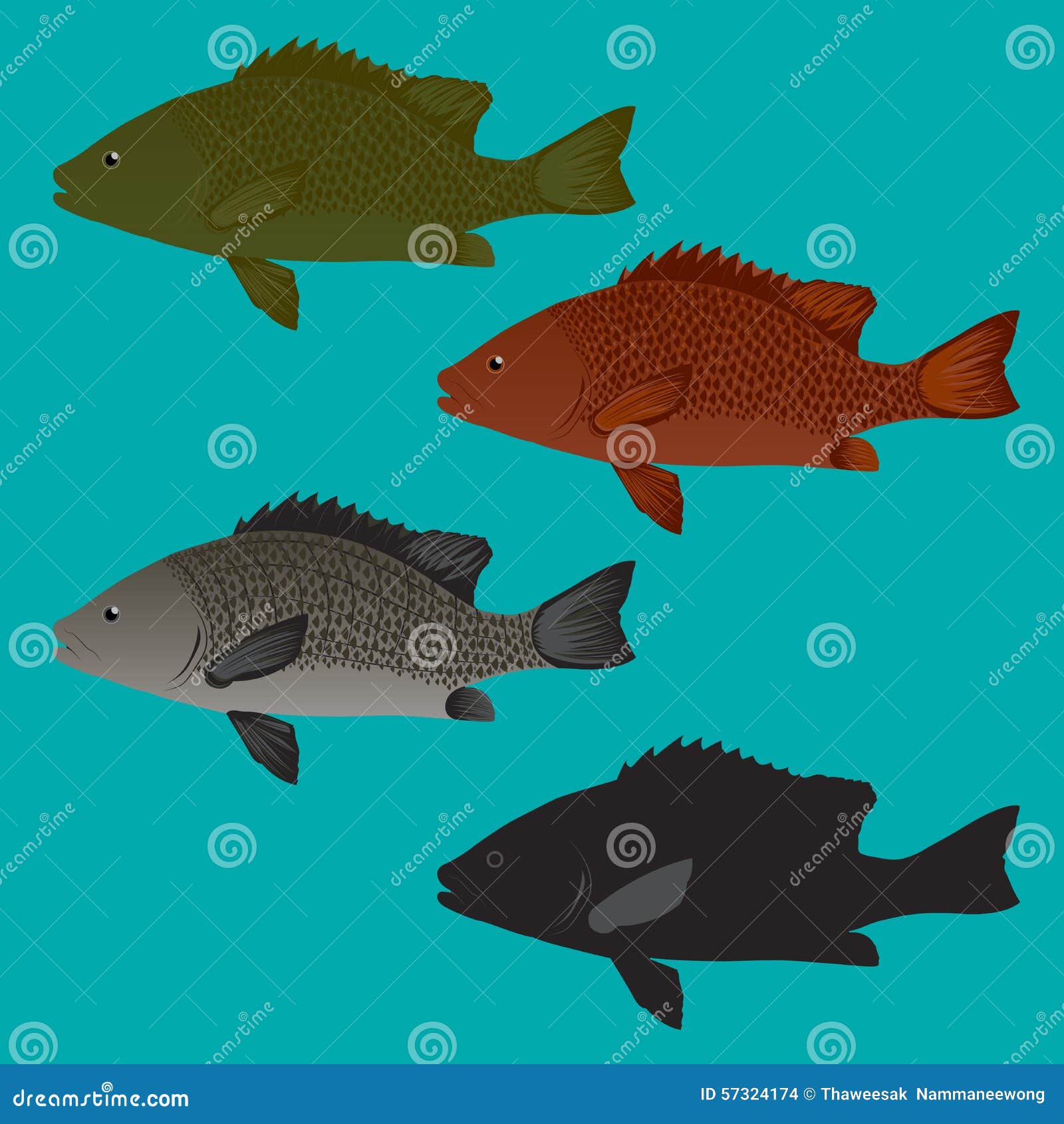 Red Snapper Fish Cartoon Vector | CartoonDealer.com #55252575