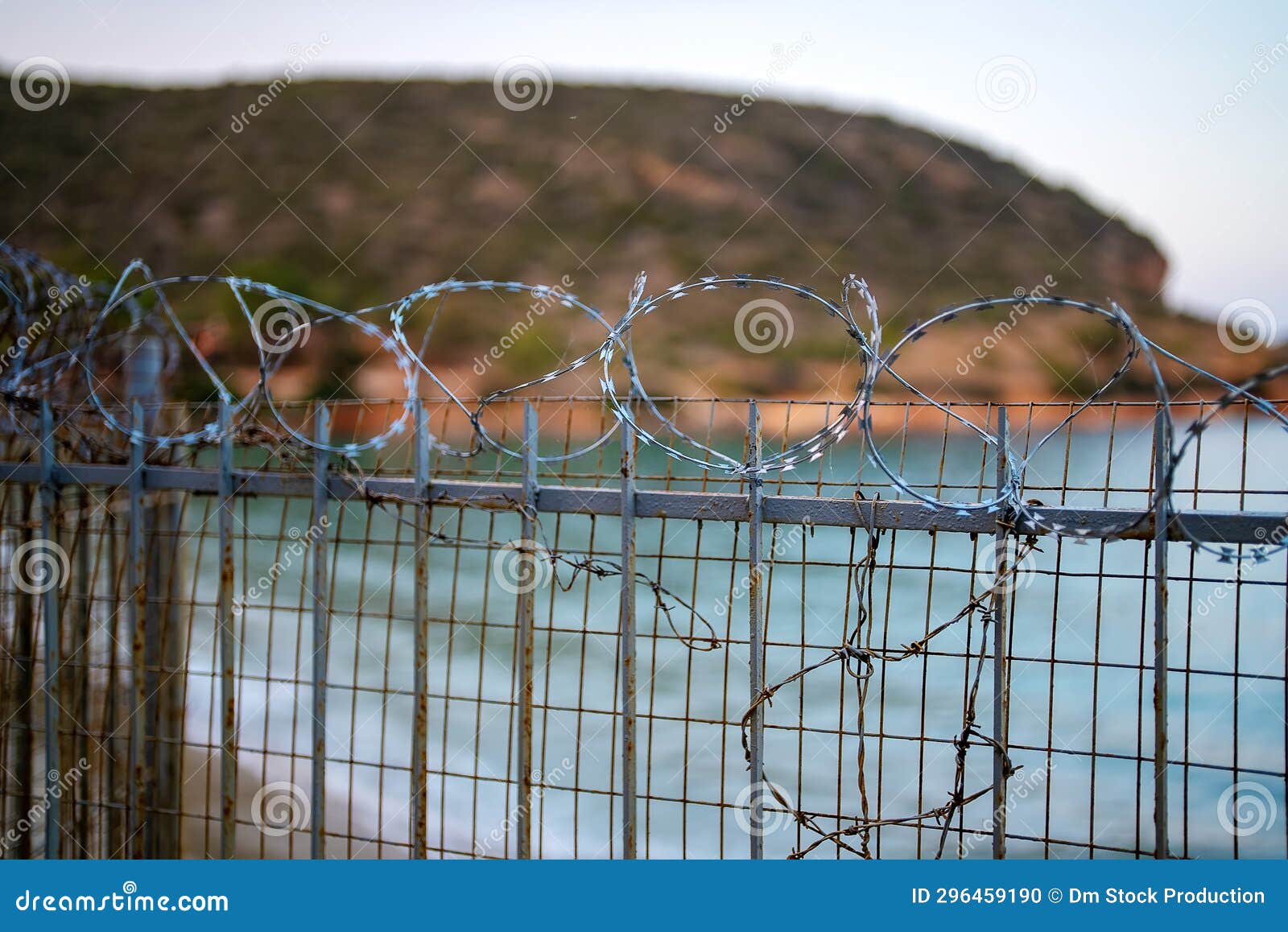 Barbed wire stock photo. Image of fence, chain, metallic - 296459190