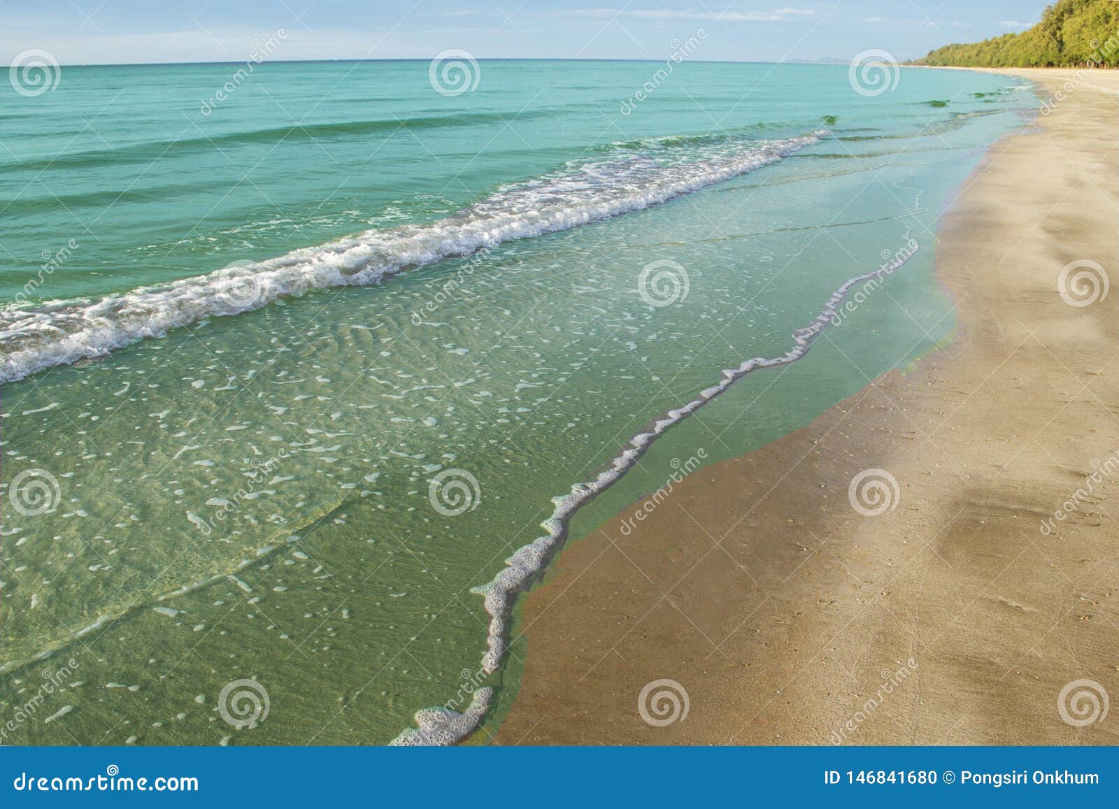 Sea and beach stock photo. Image of ease, focus, innocence - 146841680