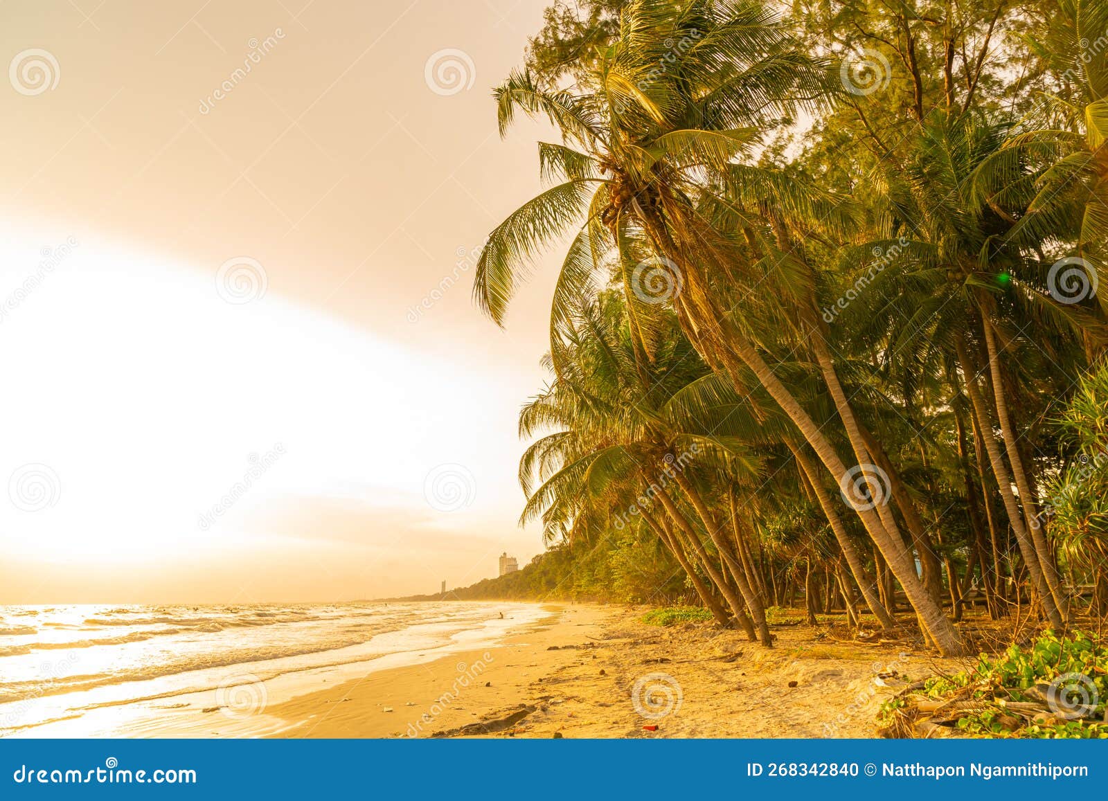 Sea Beach with Coconut Palm Tree at Sunset Time Stock Photo - Image of ...