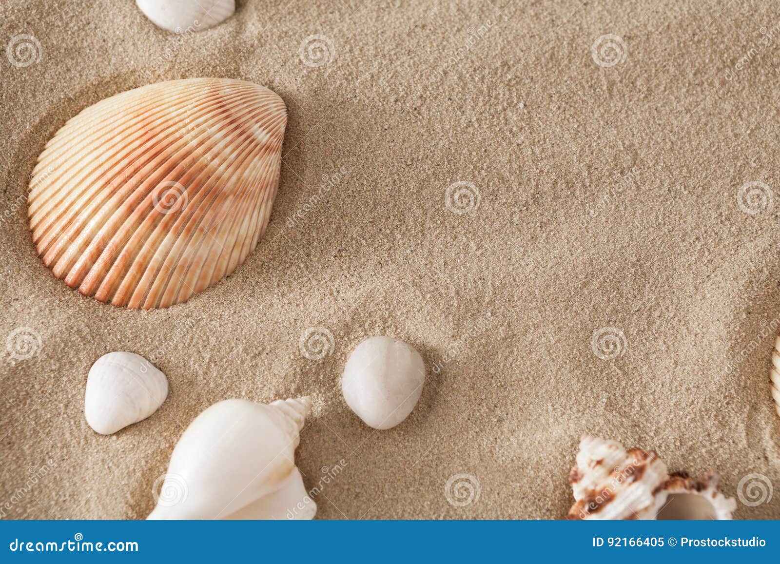 Sea Beach Sand and Seashells Background, Natural Seashore Stock Image ...