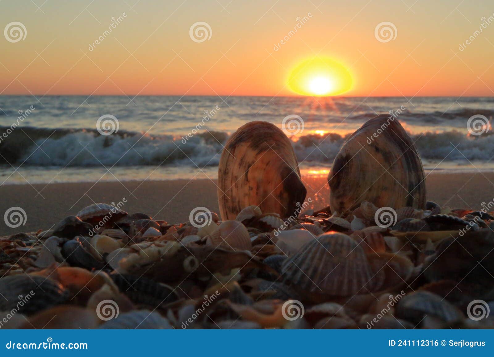 The Sea, the Beach, Seashells. the Meeting at Sunset Stock Photo ...