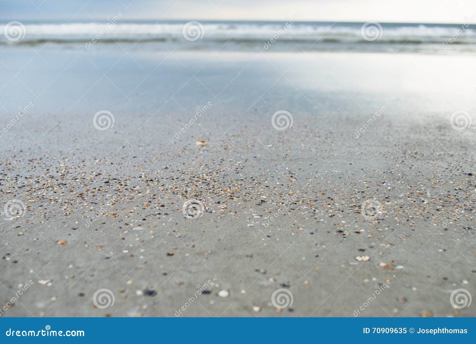 Sea Beach Shells Blue Sky Sand Sun Daylight Relaxation Landscape View ...