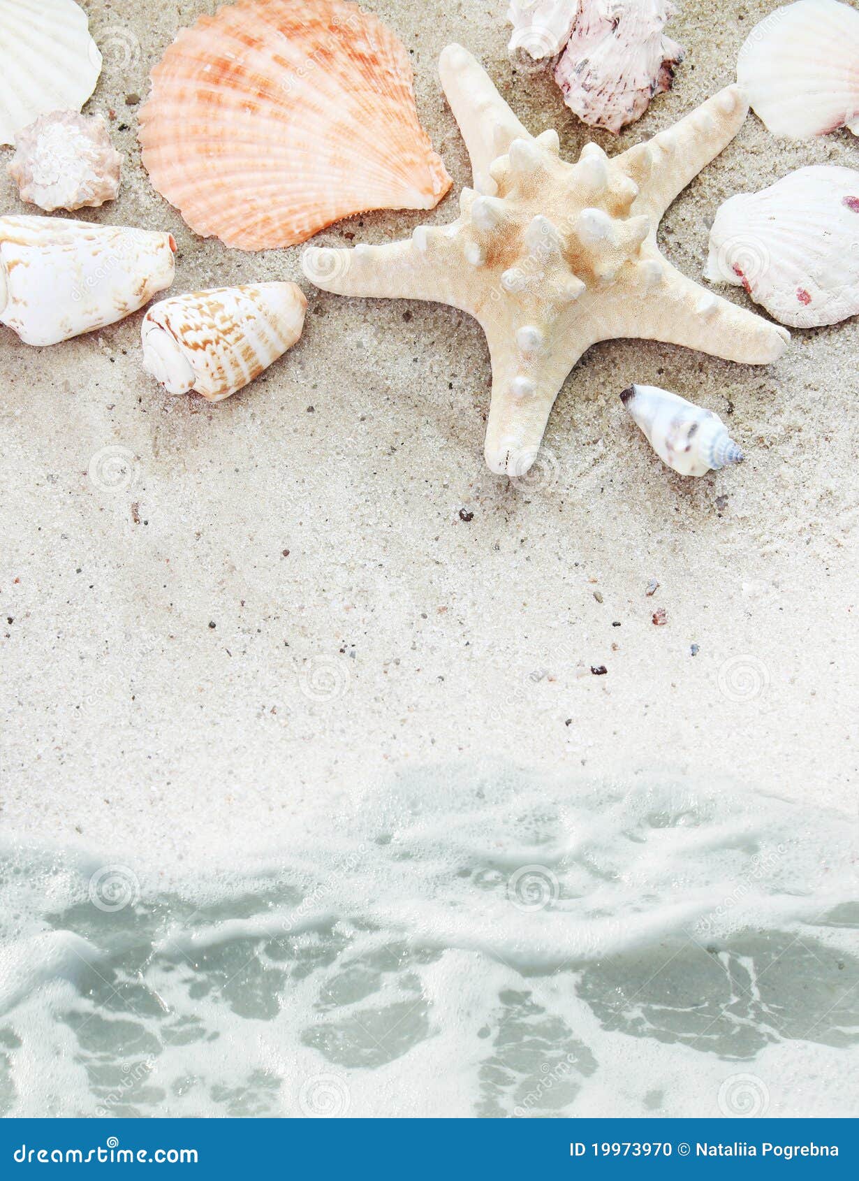 Sea Beach with Shells Border Stock Photo - Image of vacation, life ...