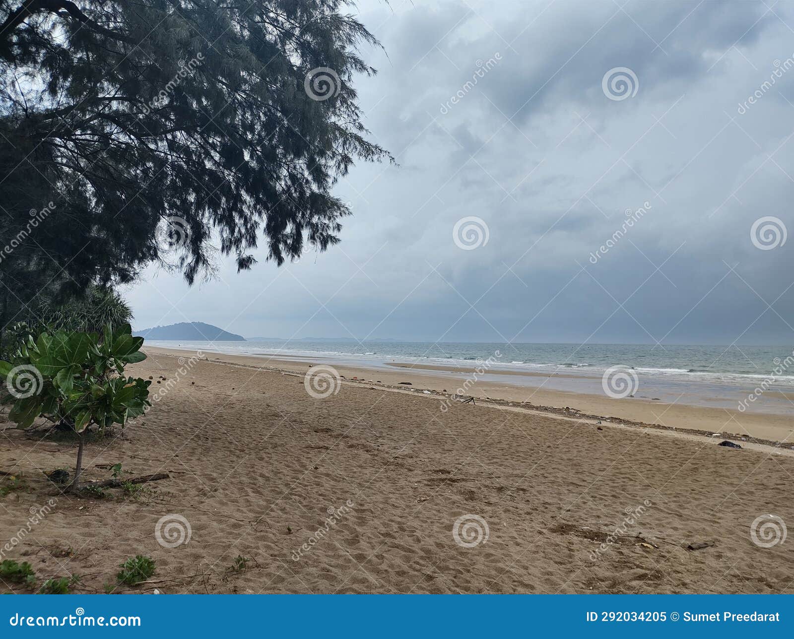 Sea beach sky tree stock image. Image of ocean, wave - 292034205