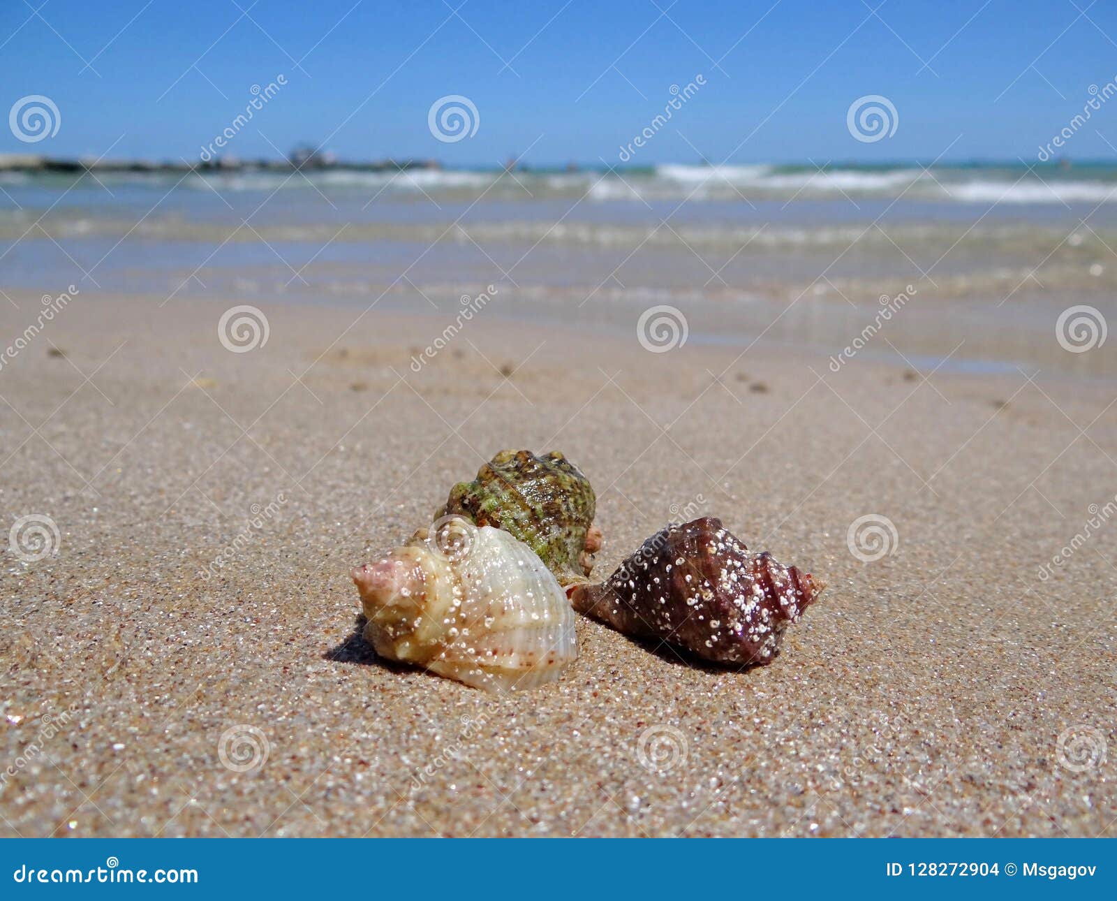 Sea beach with some rapans stock photo. Image of object - 128272904