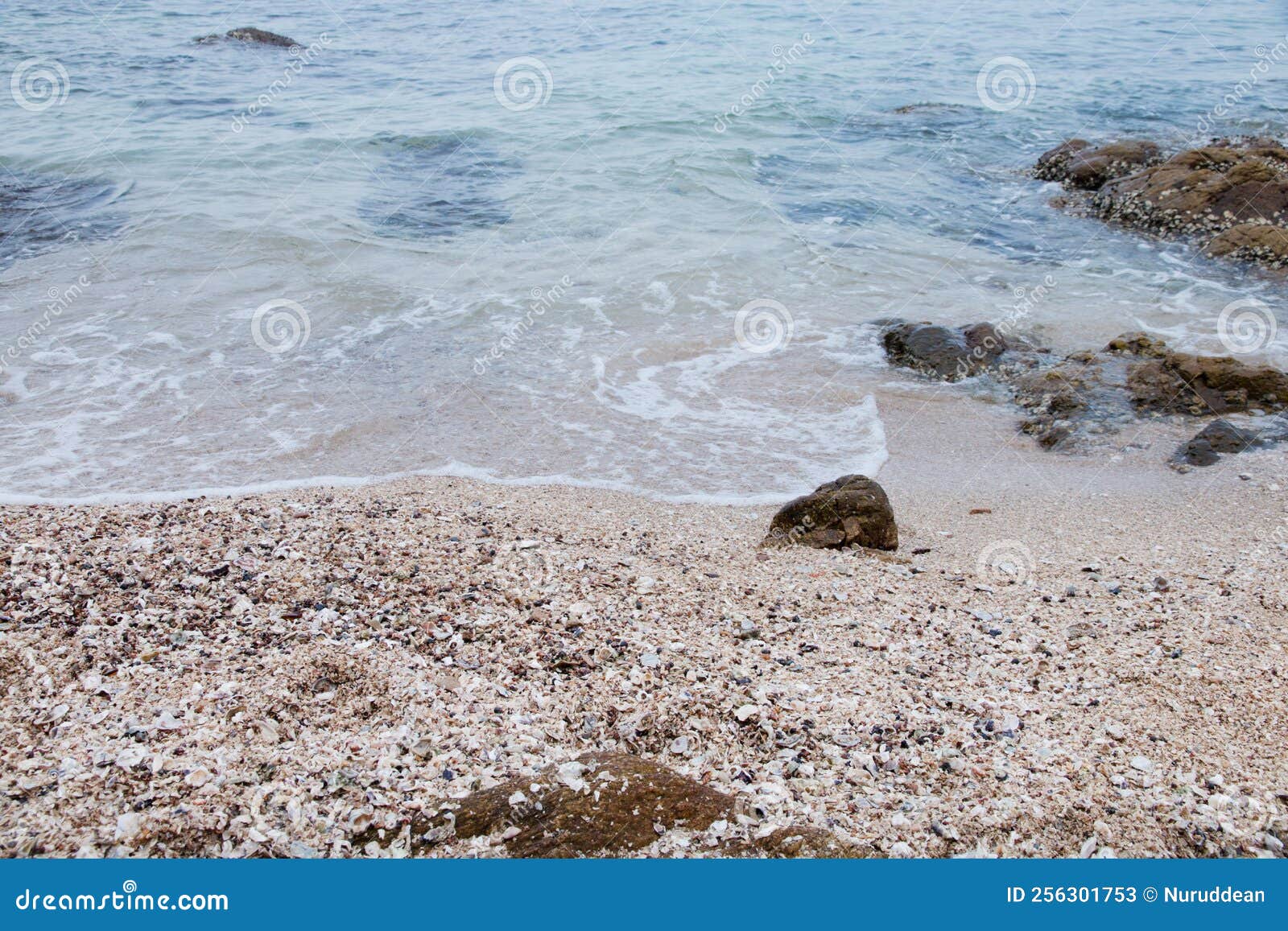 Sea and Beach with Stone at Coast Stock Image - Image of reef, relax ...