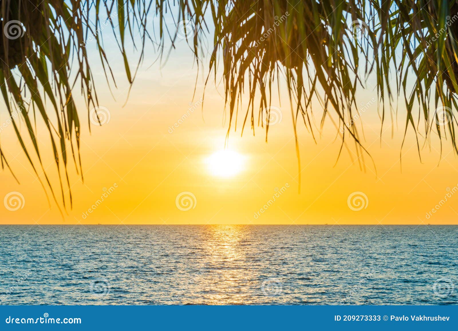 Sea beach sunset landscape stock image. Image of panoramic - 209273333