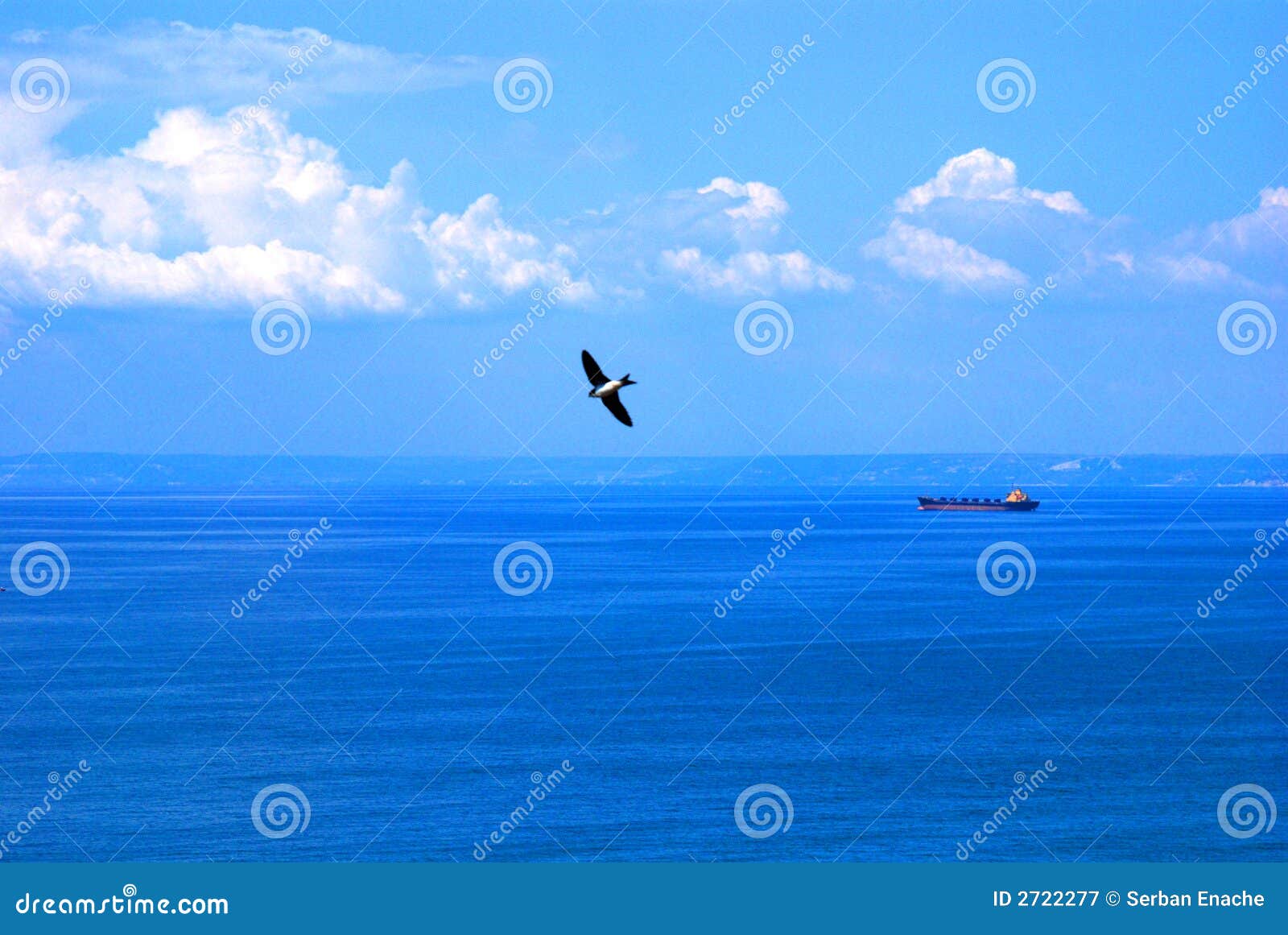 Sea bird over ocean stock image. Image of clouds, blue - 2722277