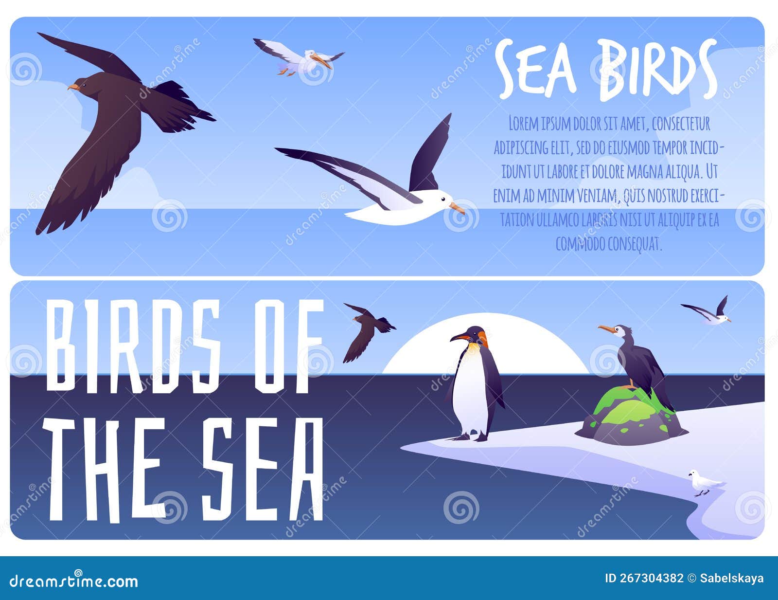 Sea Birds Informational Web Banners Set Flat Vector Illustration