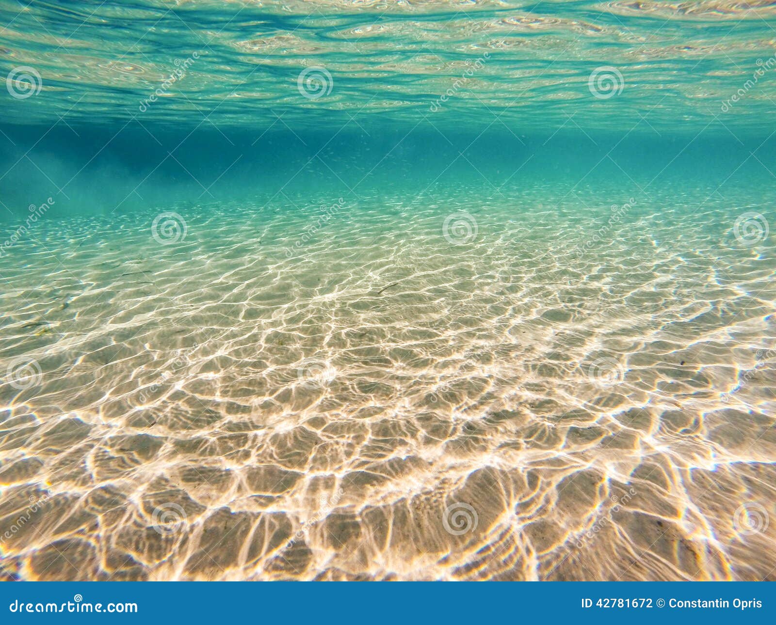 Sea bottom stock photo. Image of deep, aegean, shallow - 42781672