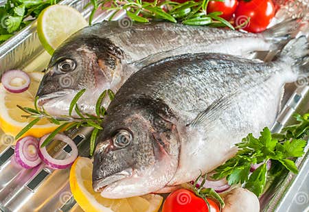 Sea bream fish on a grill stock photo. Image of nutrition - 38406180