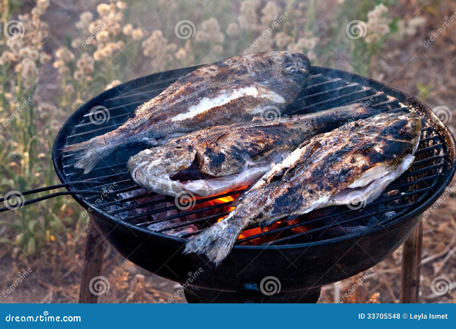 Sea Bream Fish Grilling on BBQ Stock Photo - Image of dorade, creature ...
