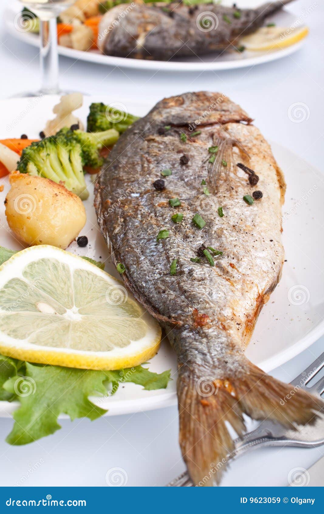 Sea Bream Fish with Vegetables Stock Image - Image of lemon, head: 9623059