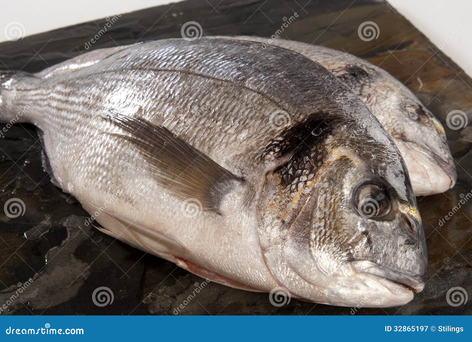 Sea Bream stock image. Image of healthy, nutrition, fresh - 32865197