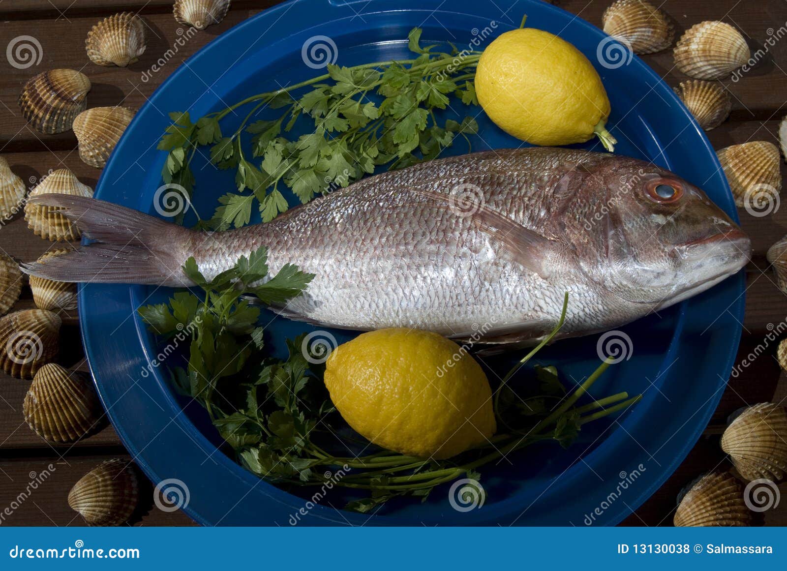 Sea Bream, Gilthead Sea Bream Stock Photo - Image of italian, gilthead ...
