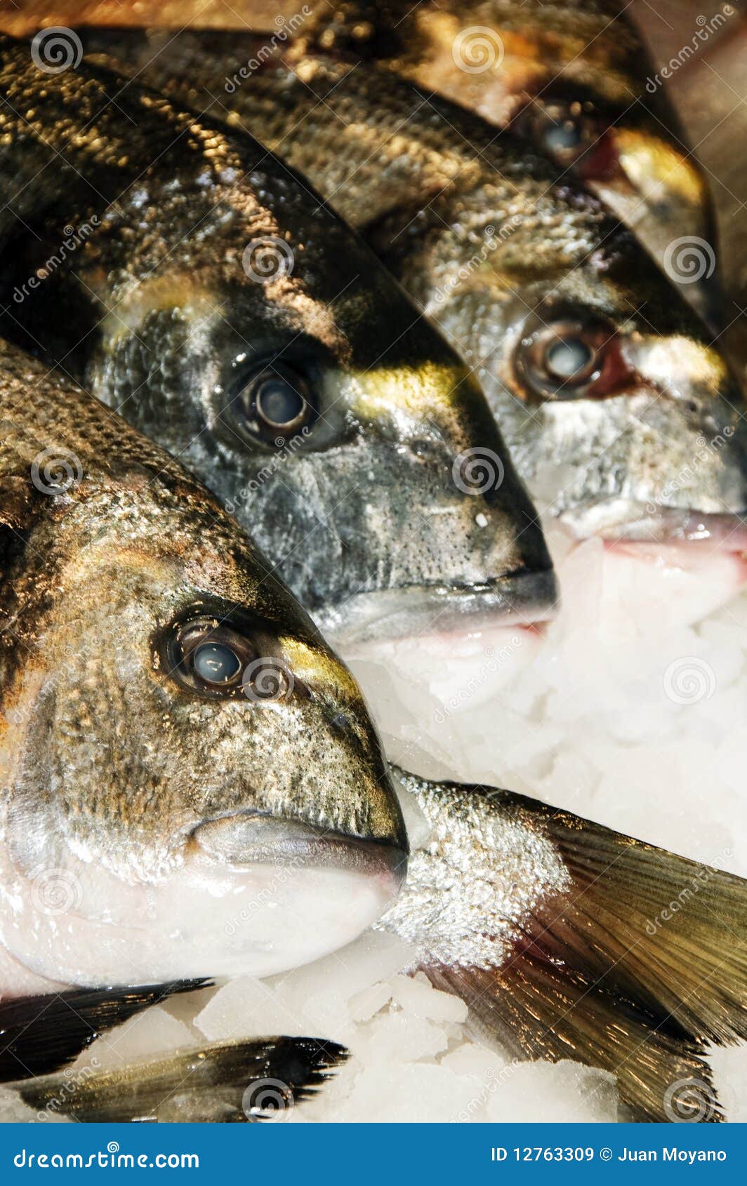 Sea breams stock image. Image of fish, organic, vendor - 12763309