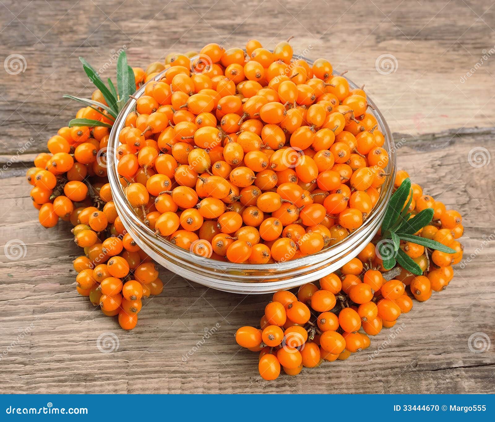 Sea buckthorn berries stock photo. Image of macro, herbal - 33444670
