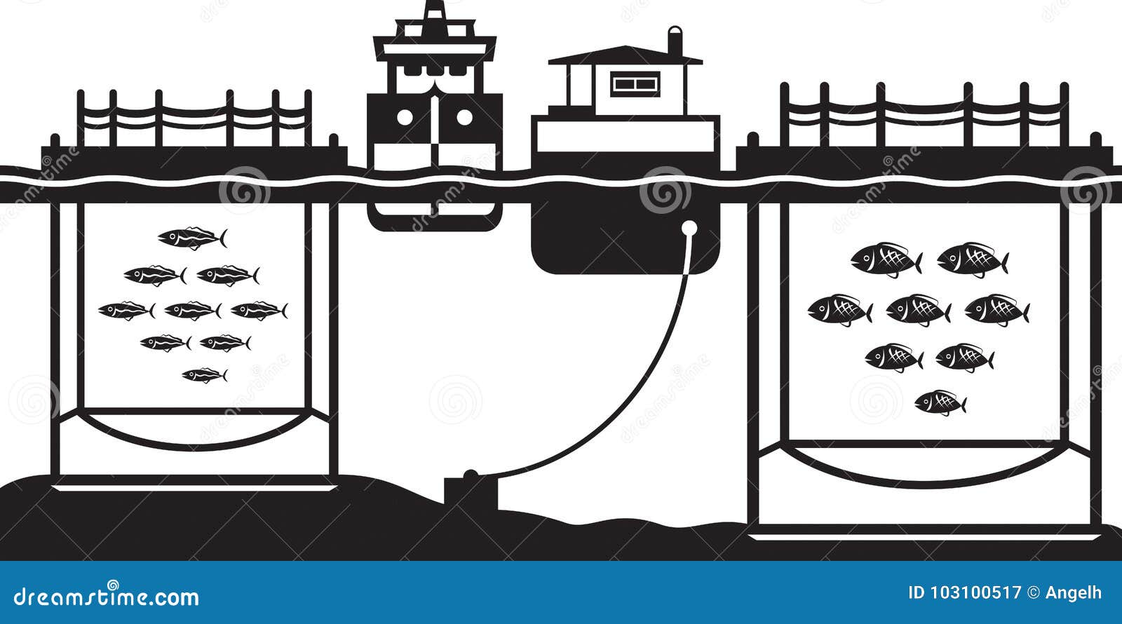 Sea cage fish farming stock vector. Illustration of marine - 103100517