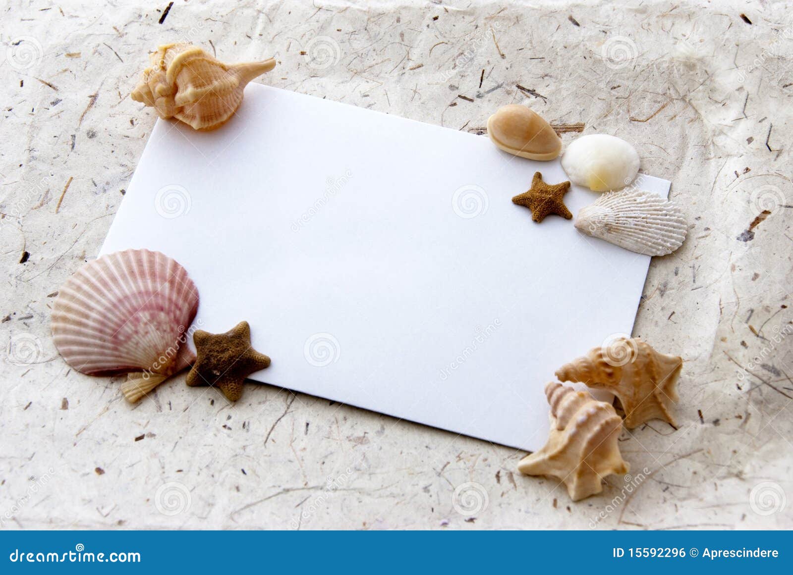 Sea card stock photo. Image of cartoon, marine, close - 15592296