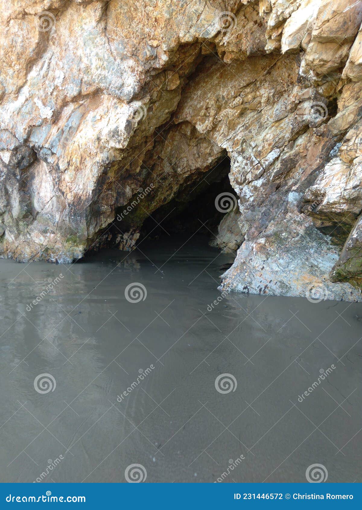 Sea cave at high tide stock photo. Image of water, wood - 231446572