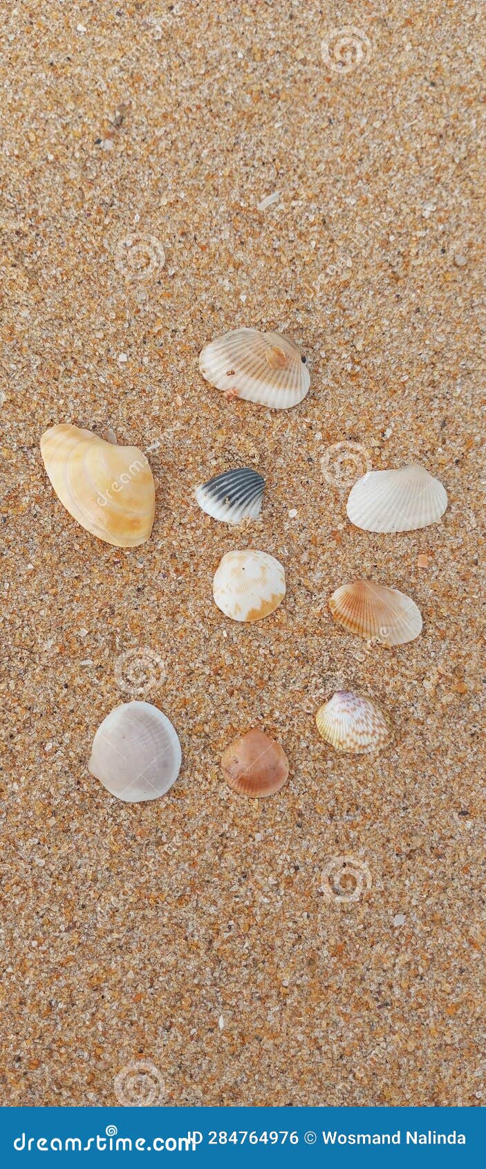 Sea Cell in the Western Province of Srilankan Stock Photo - Image of ...