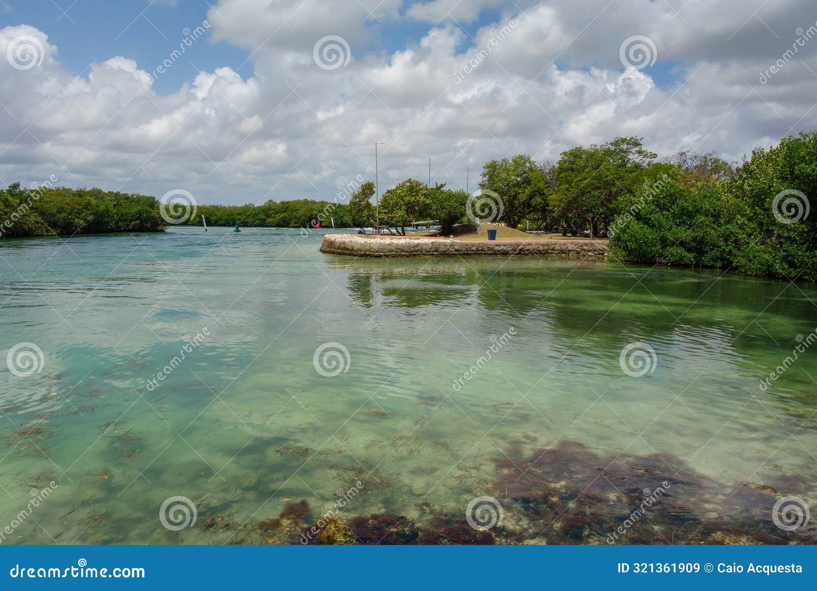 Sea Channels in Mangrove Area of Cancun, Mexico Stock Image - Image of ...