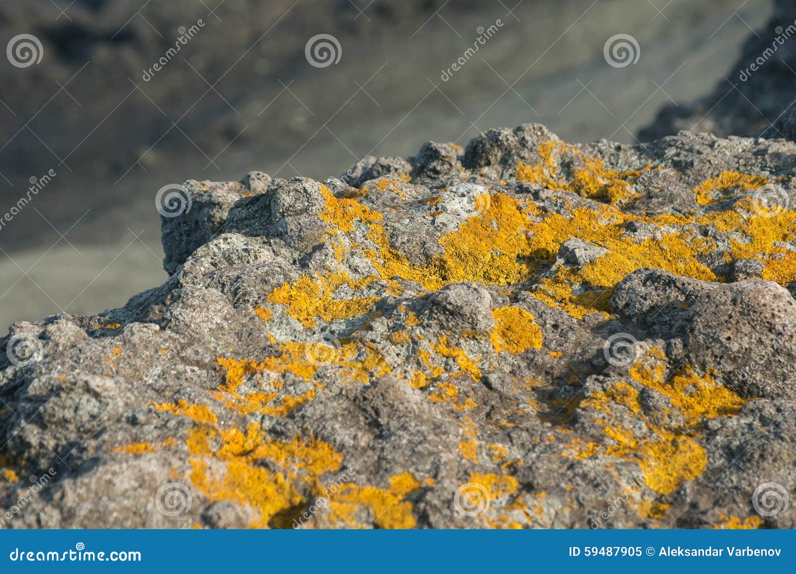 Sea cliff with dry lichen stock image. Image of blue - 59487905