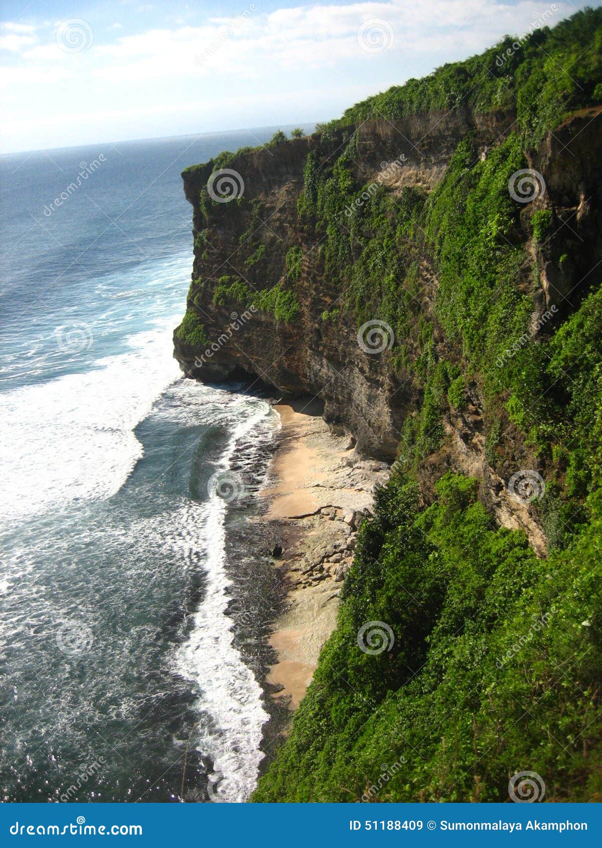Sea cliff with forest stock image. Image of travel, forest - 51188409
