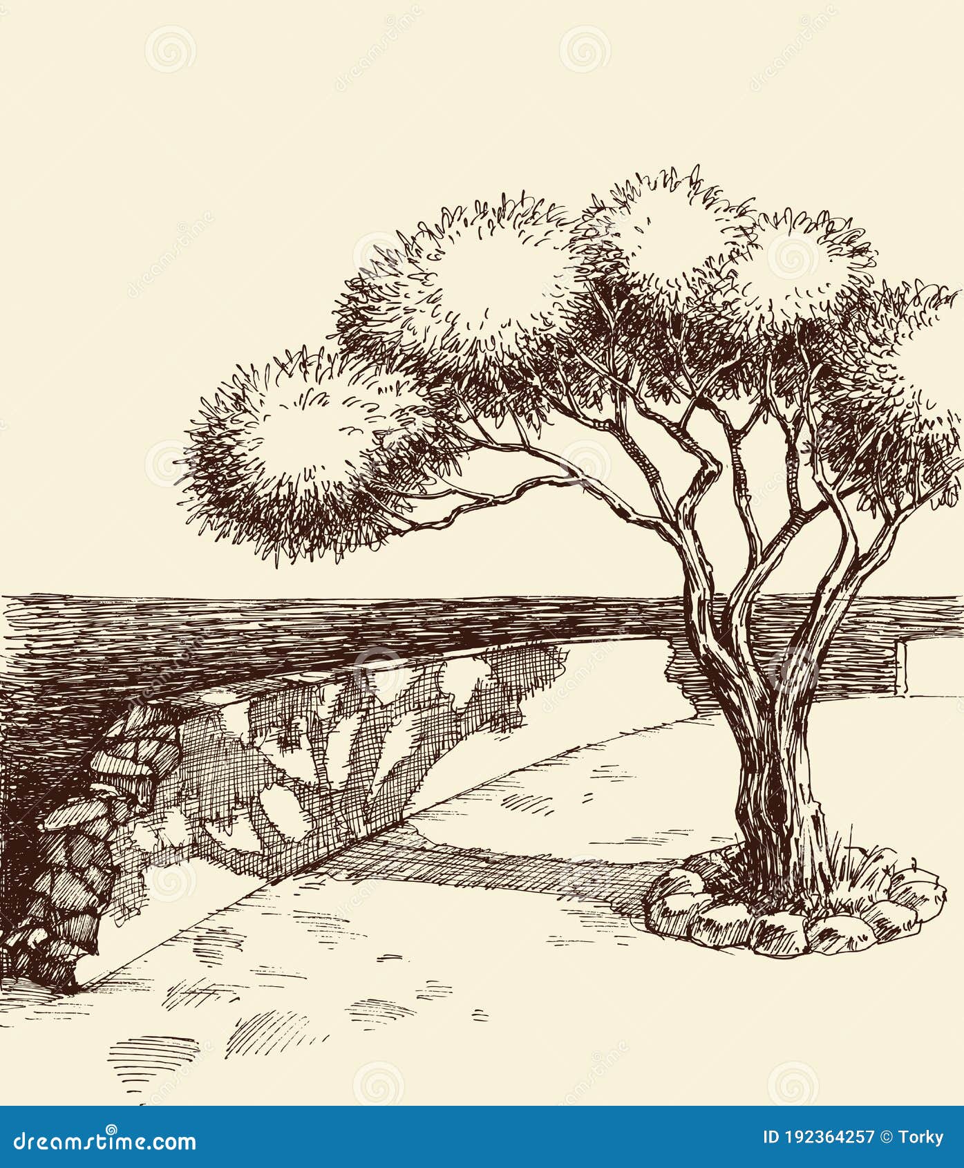 Sea Cliff and Park Terrace Hand Drawing Stock Vector - Illustration of ...