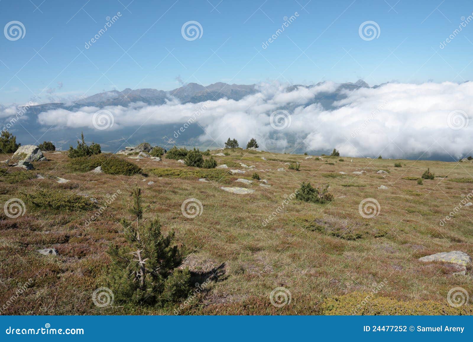 Sea of cloud in Pyrenees stock photo. Image of france - 24477252