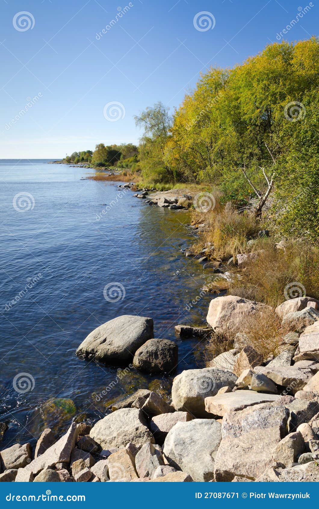 Sea coast in autumn colors stock image. Image of forest - 27087671