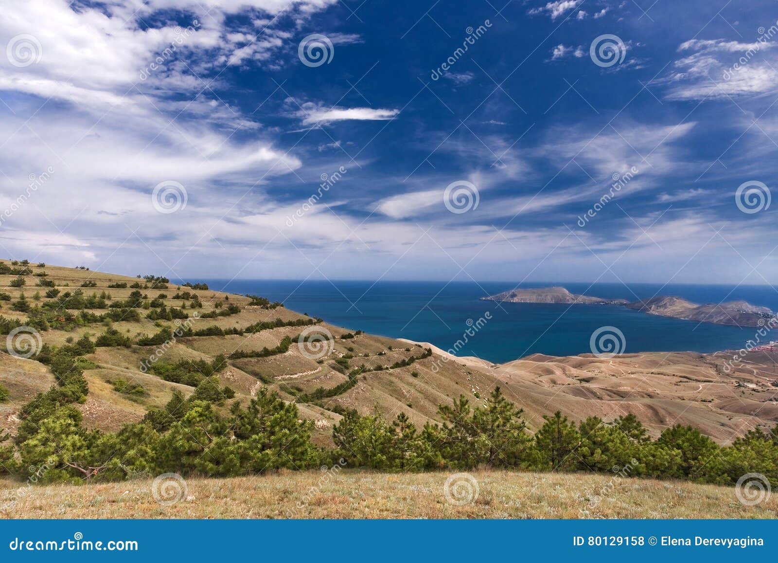 Sea Coast with Hills and Pine Trees Stock Photo - Image of pine, beach ...