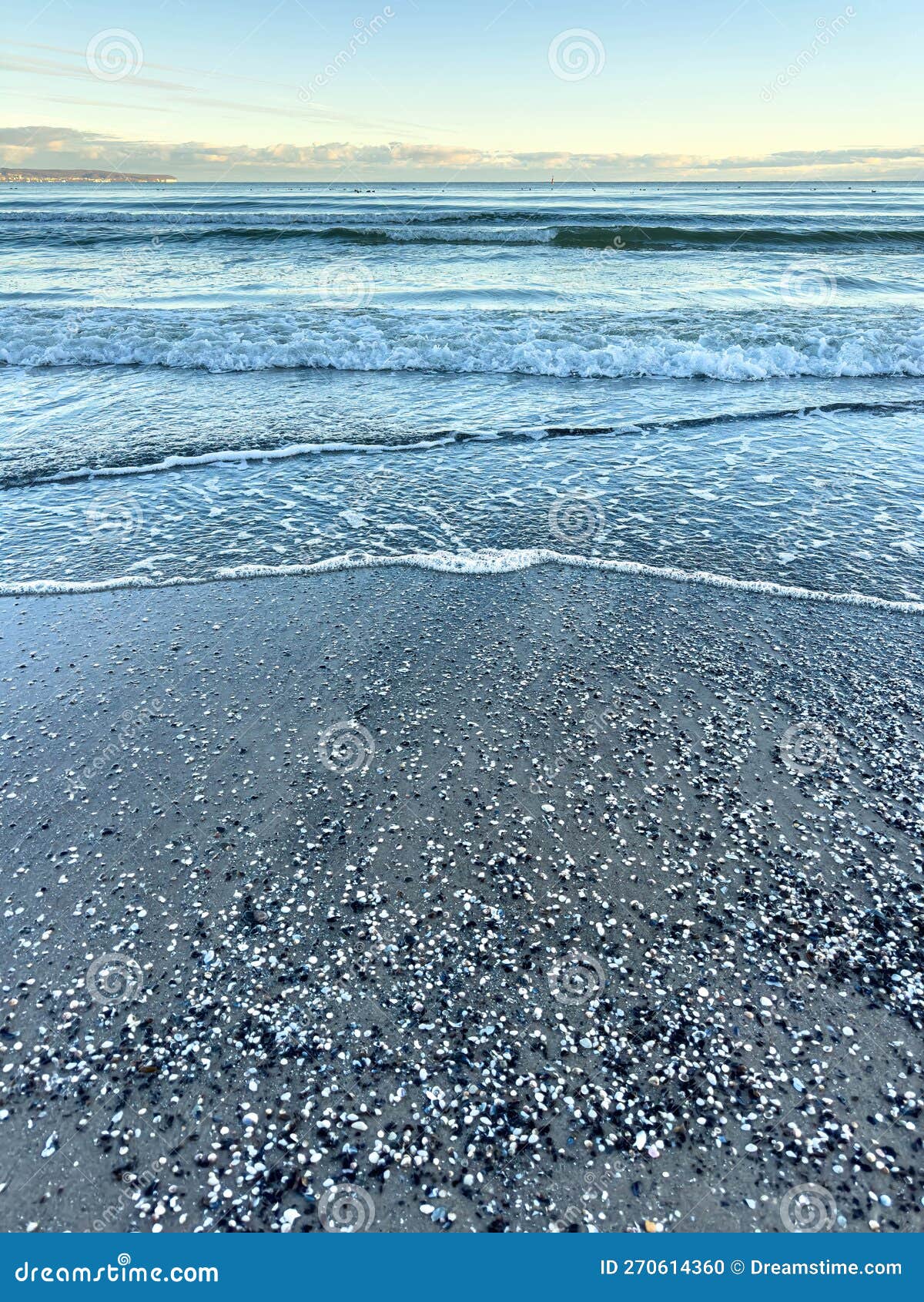Sea Coast with Seashells and Texture Waves, Sea Lanscape. Stock Photo ...