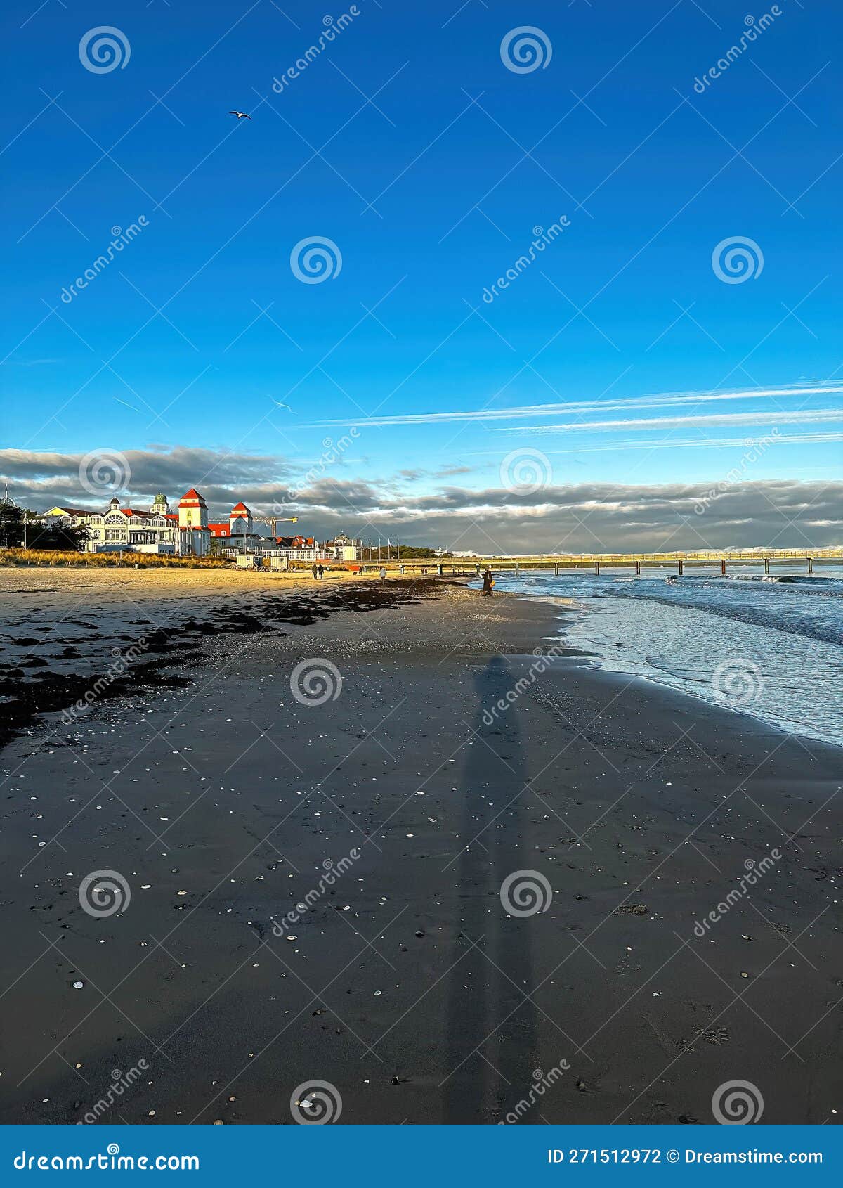 Sea Coast with Seashells and Texture Waves, Sea Lanscape. Stock Photo ...