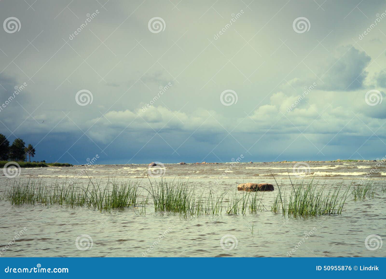 Sea Coast in the Spring in Hot Weather Stock Photo - Image of morning ...