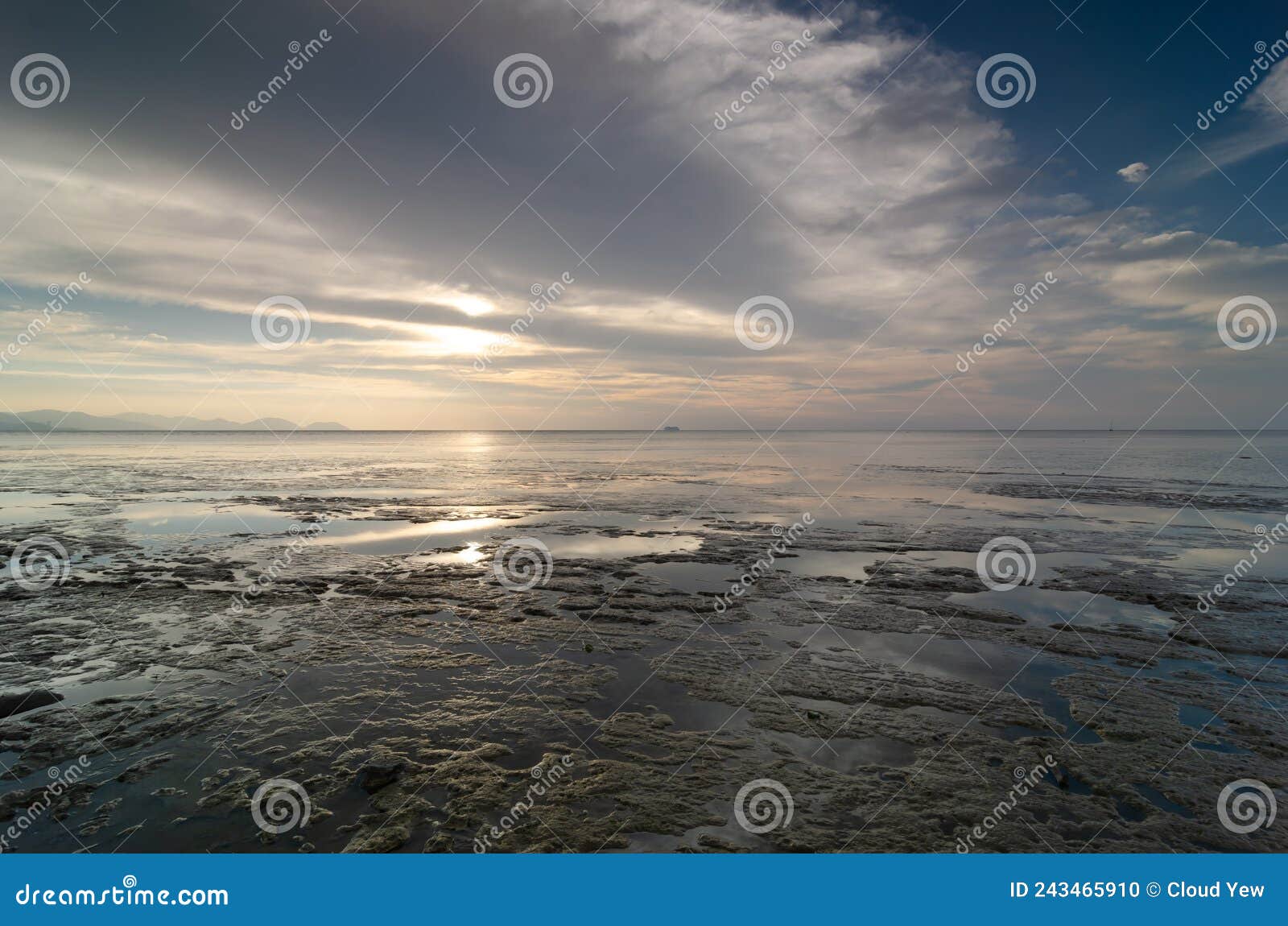 Sea coastal muddy land stock photo. Image of earth, coast - 243465910