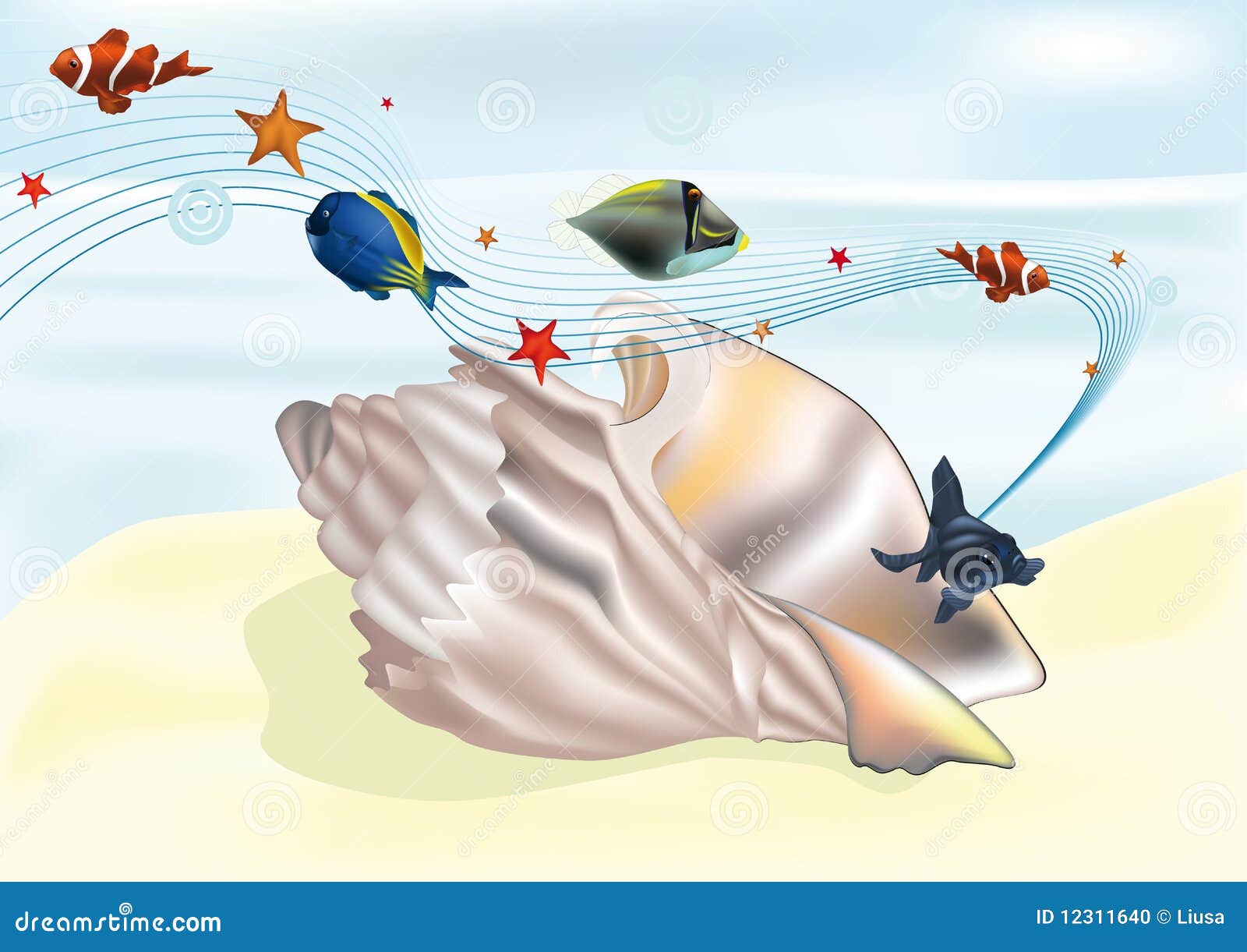 Tropical Cockleshell Stock Illustrations – 6,492 Tropical Cockleshell ...