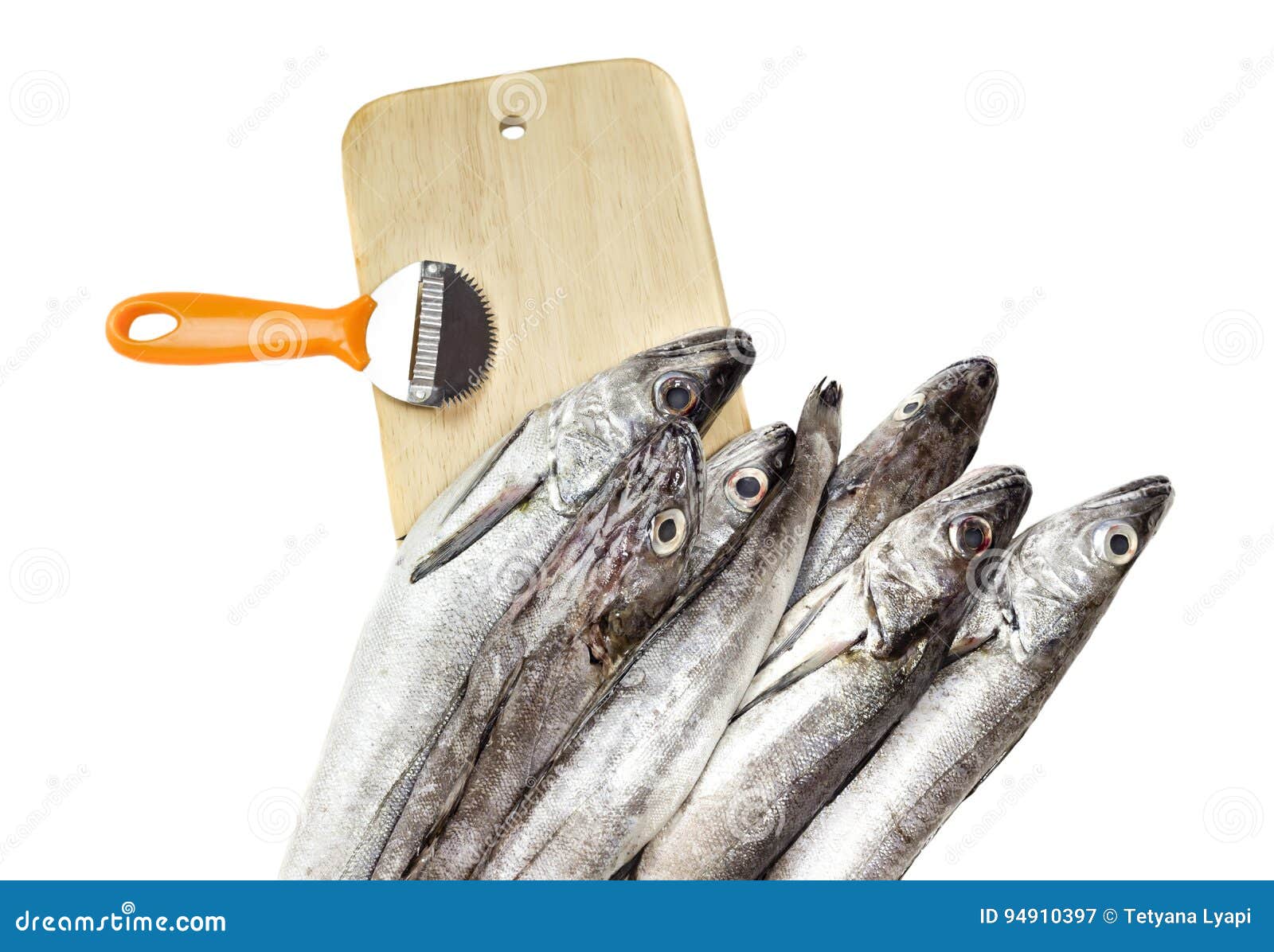 The sea cod stock image. Image of fish, gills, cleaned - 94910397