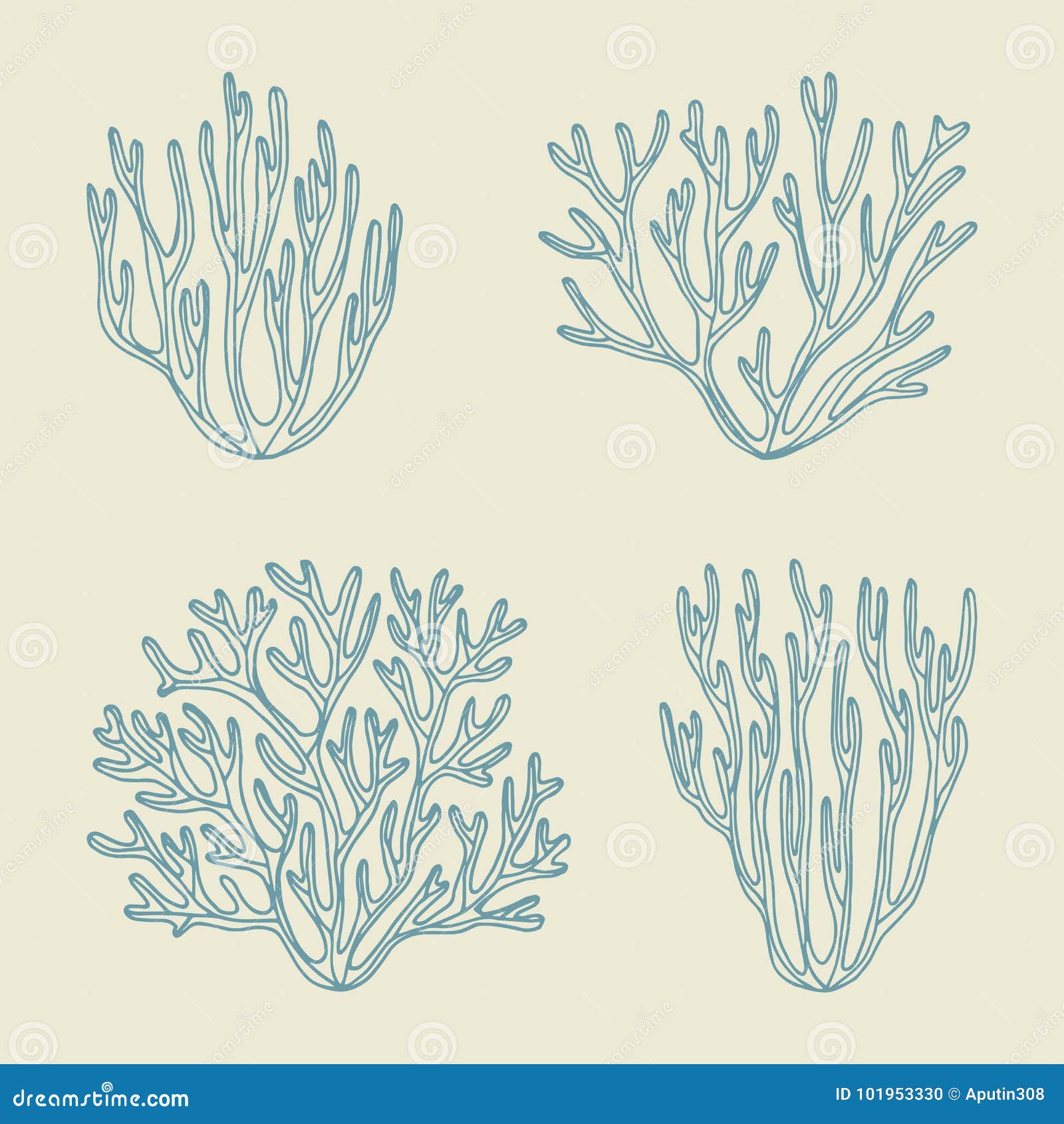 Sea Algae Drawing