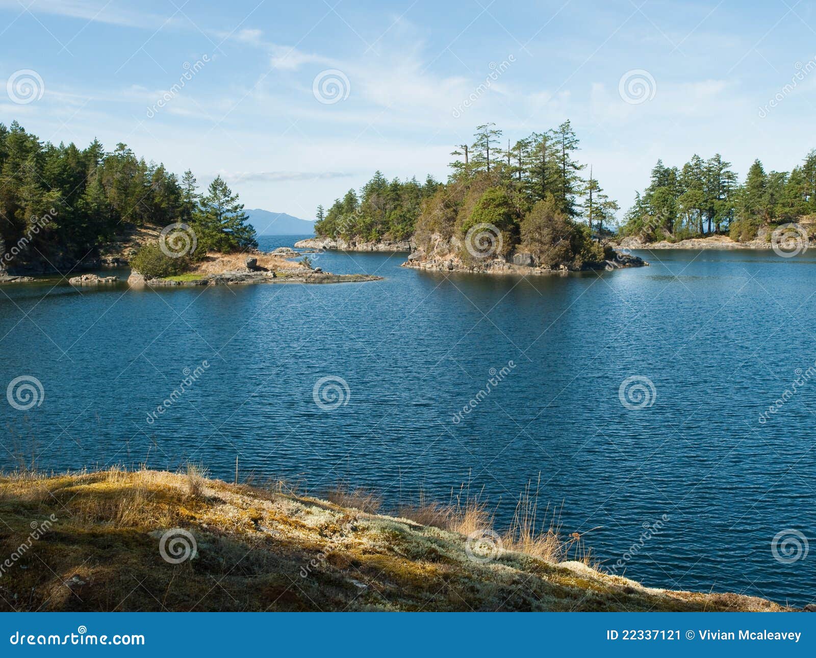 Sea Cove of Remote Rocky Coast Stock Image - Image of inlet, coast ...