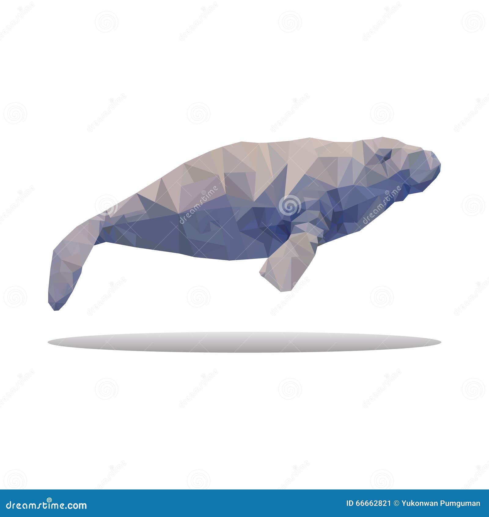 Sea Cow Polygon Abstract Isolated on White Background Vector Stock ...