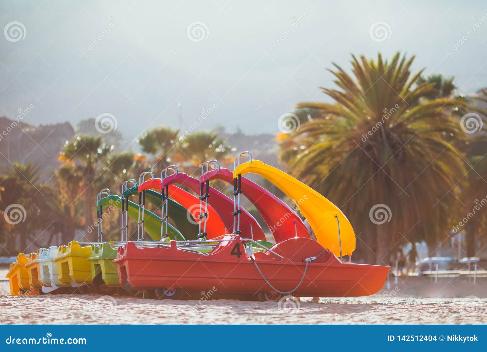 Sea Cycle Catamarans on the Beach Stock Photo - Image of summer, view ...