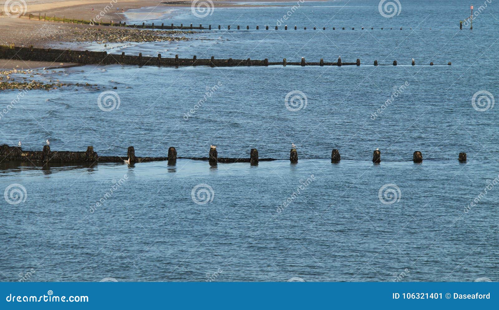 Sea Defence Beach Groynes. stock image. Image of water - 106321401