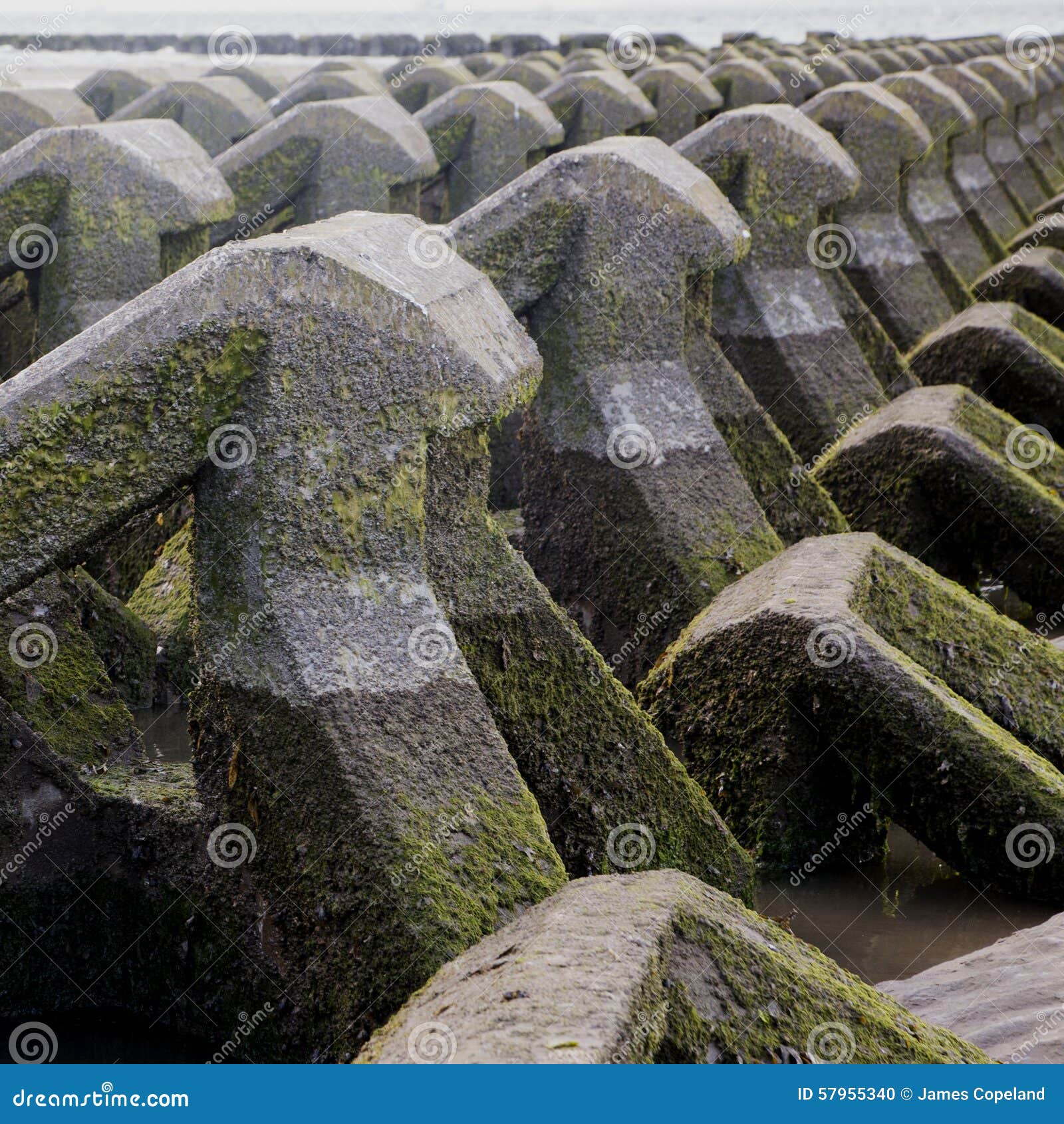 Sea defences stock photo. Image of defences, beach, concrete - 57955340