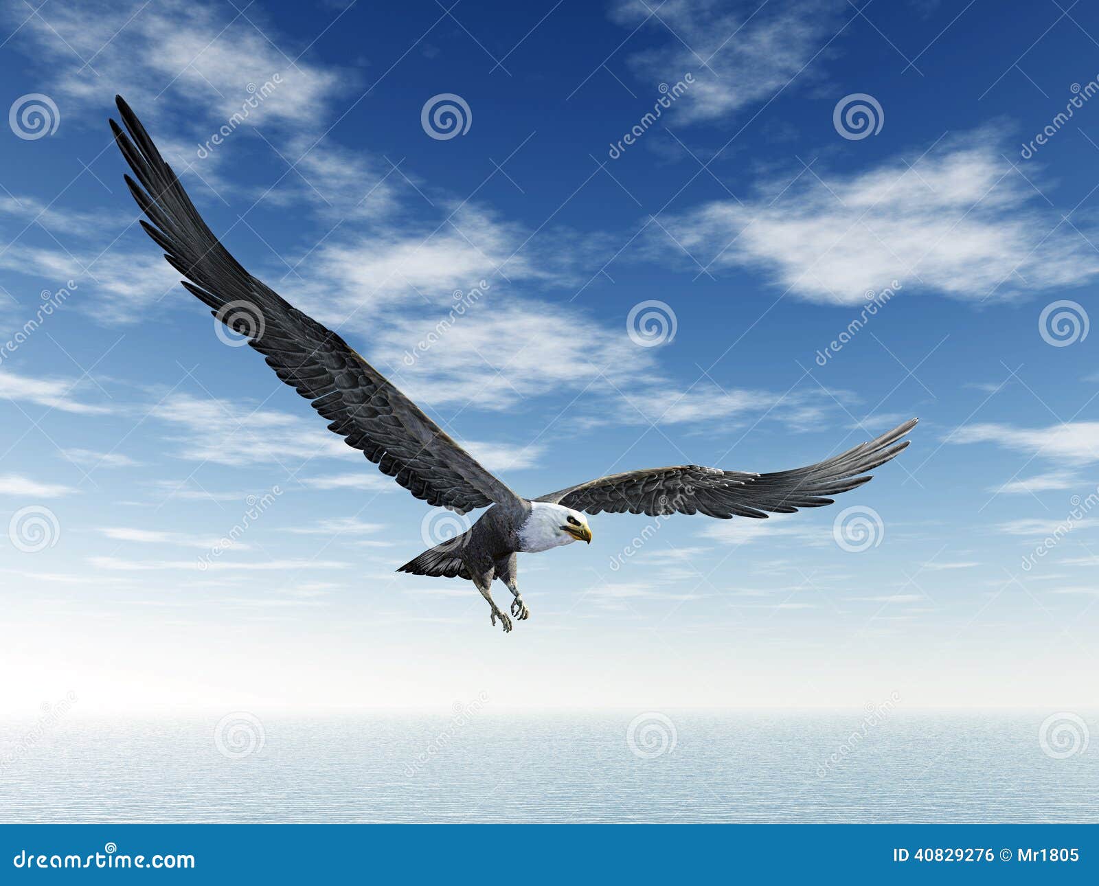 Sea Eagle stock illustration. Illustration of horizon - 40829276
