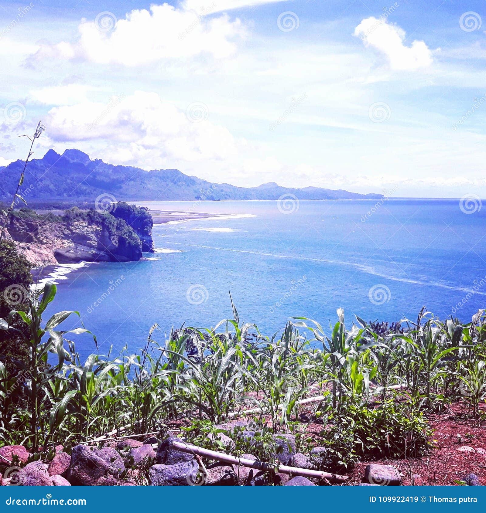 Sea in east java stock image. Image of java, east - 109922419