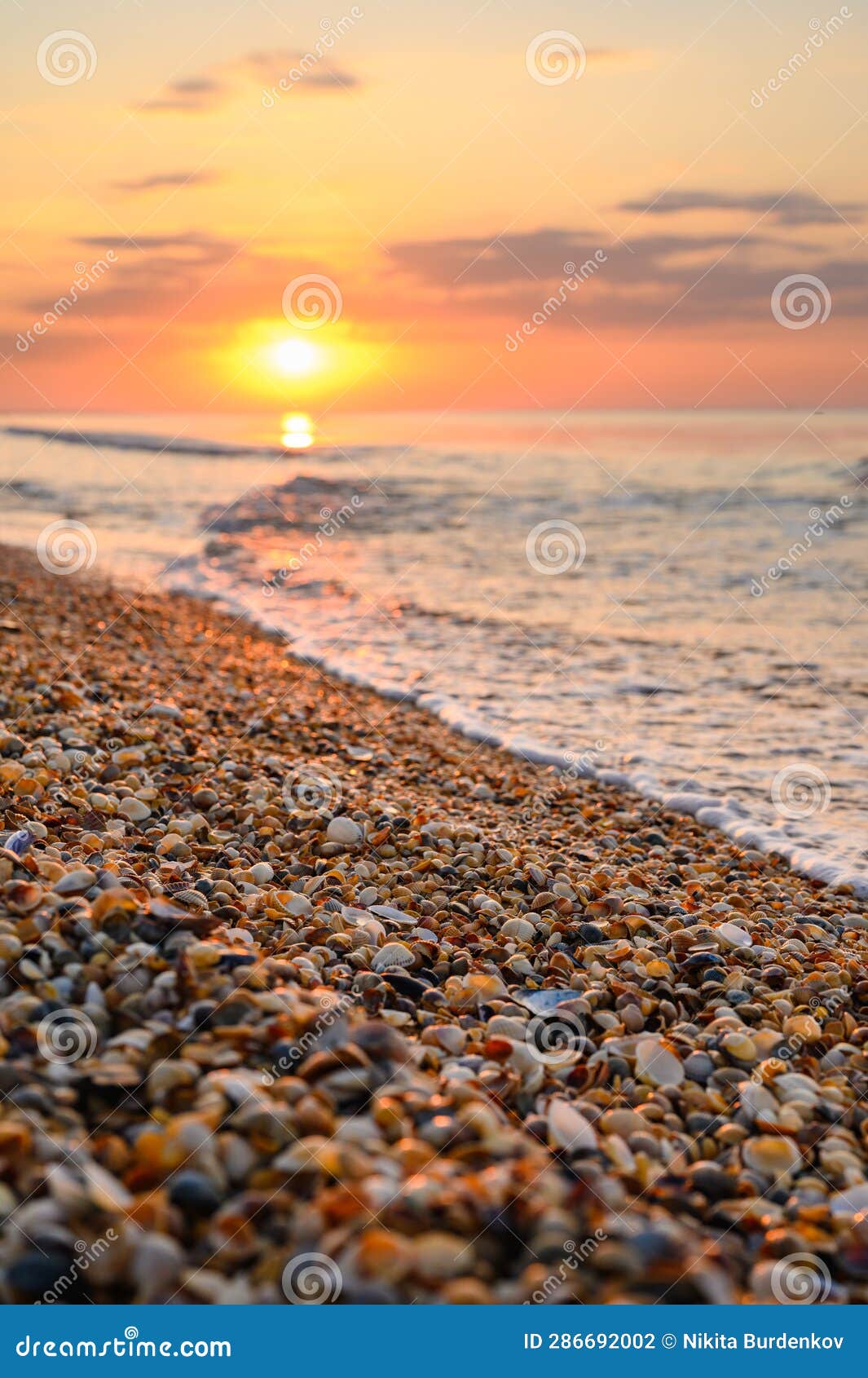 Sea Evening Golden Landscape. Shell Beach Stock Photo - Image of space ...