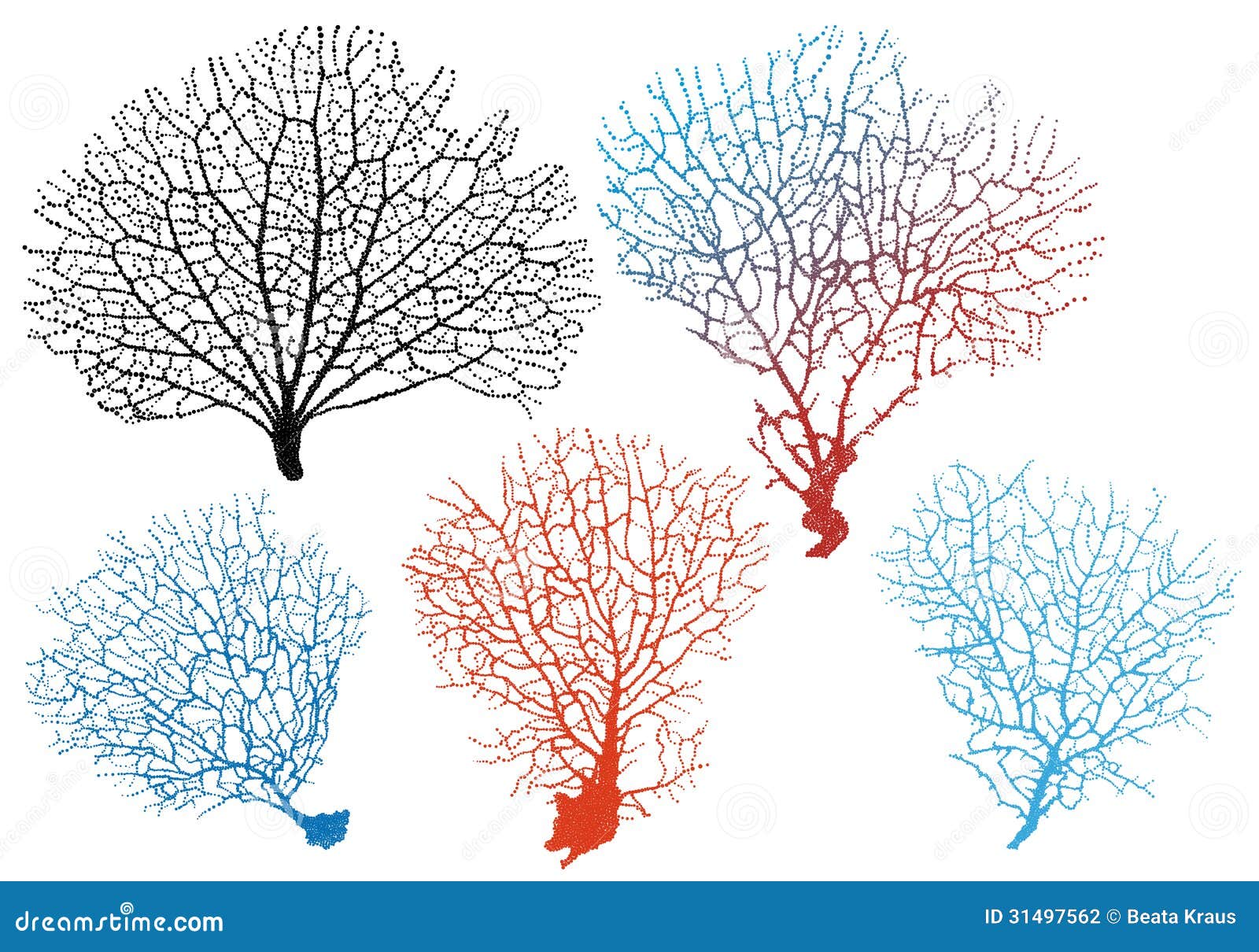 Sea fan corals, vector set stock vector. Illustration of graphic - 31497562