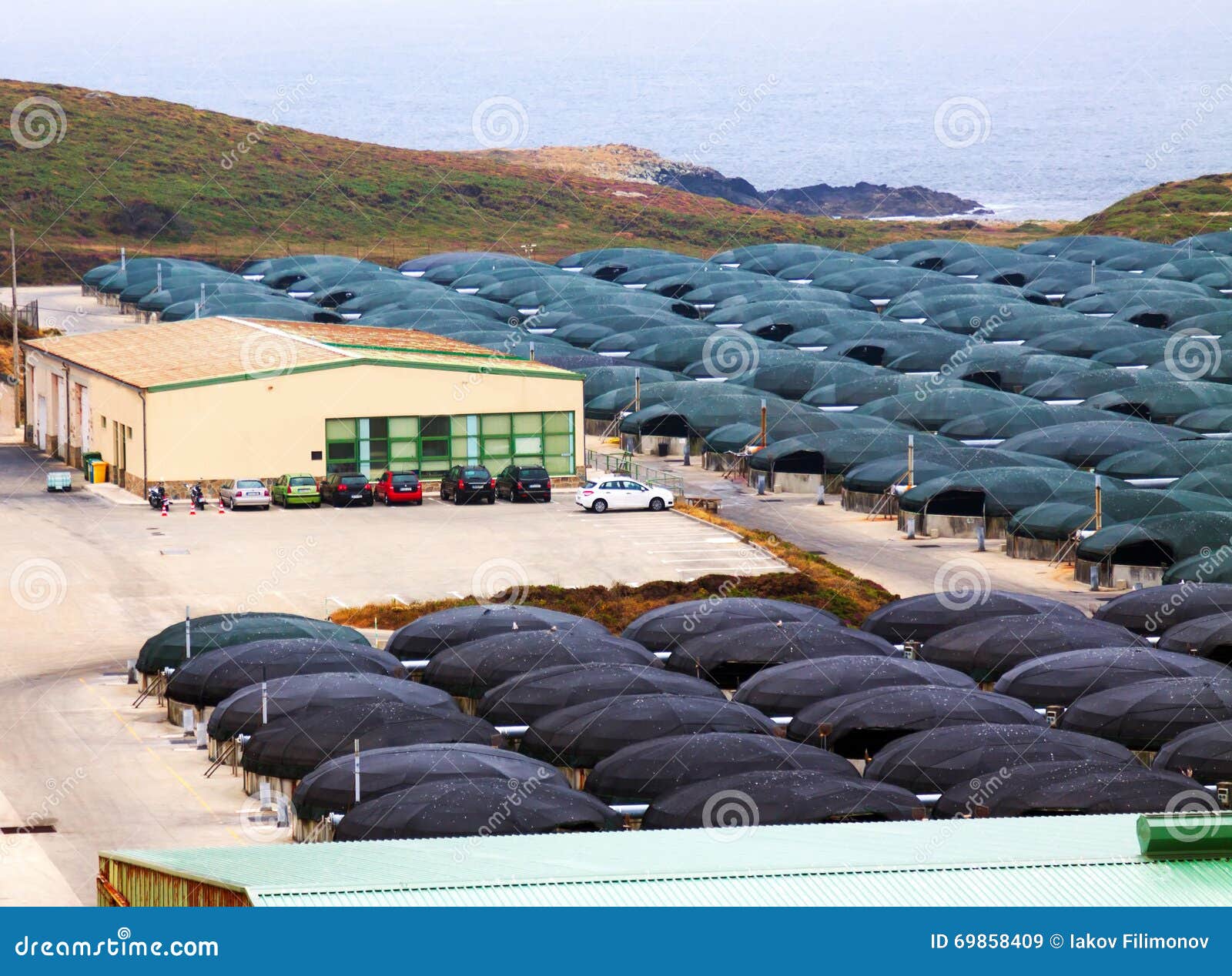 Sea farm stock image. Image of storage, farm, seafood - 69858409